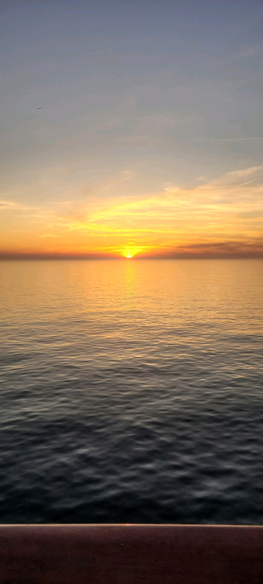 Ambience: Cruise Ship Details, Ports, Reviews, Photos & More