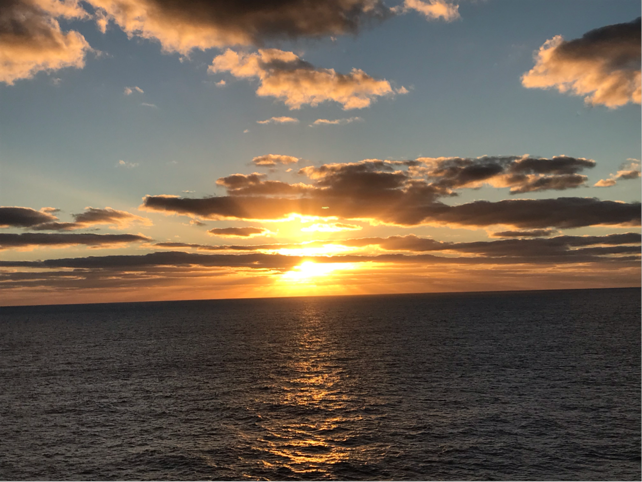 Pacific Explorer Reviews, Ship Details & Photos - Cruiseline.com