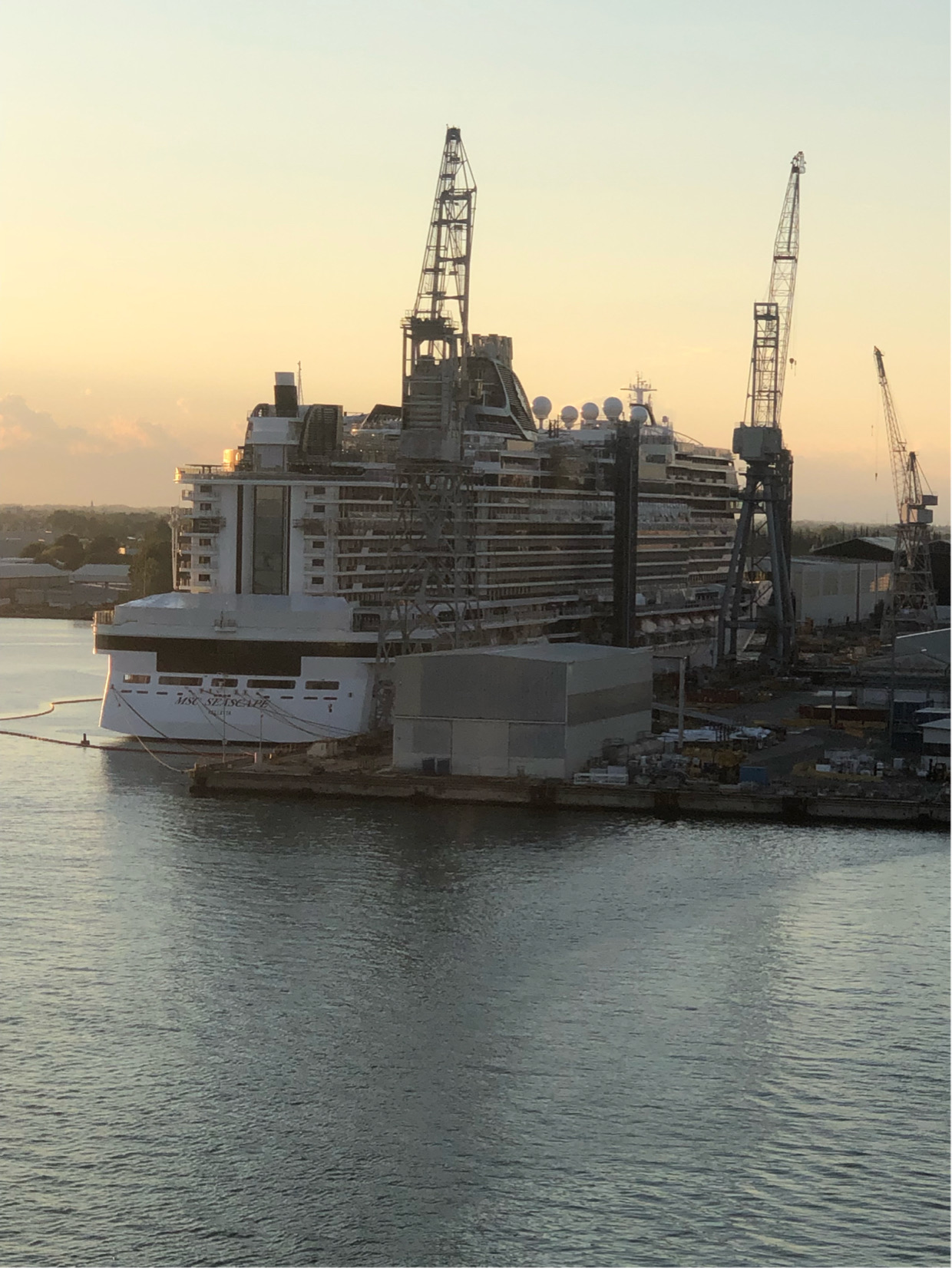 MSC Seascape Reviews, Ship Details & Photos - Cruiseline.com