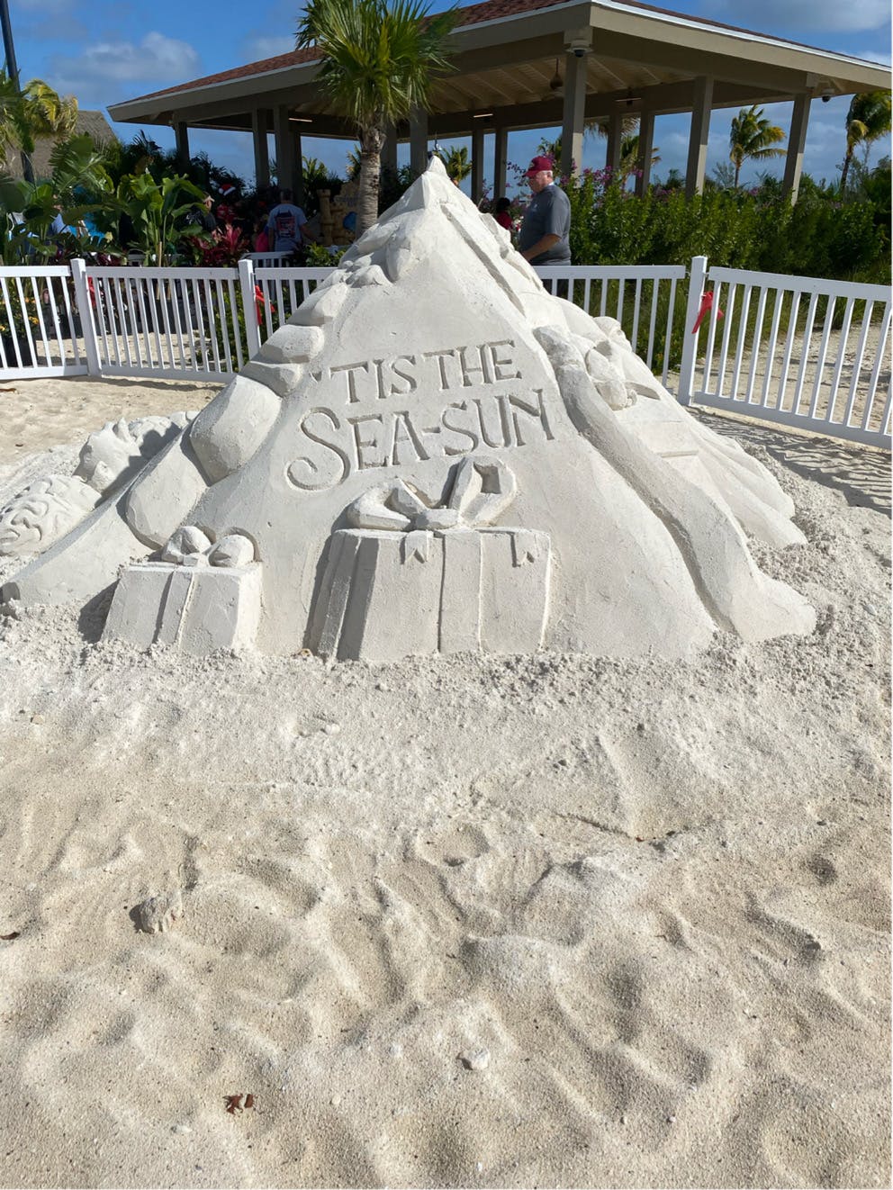 Carnival Venezia Cruise Review by Auntjax - December 14, 2025