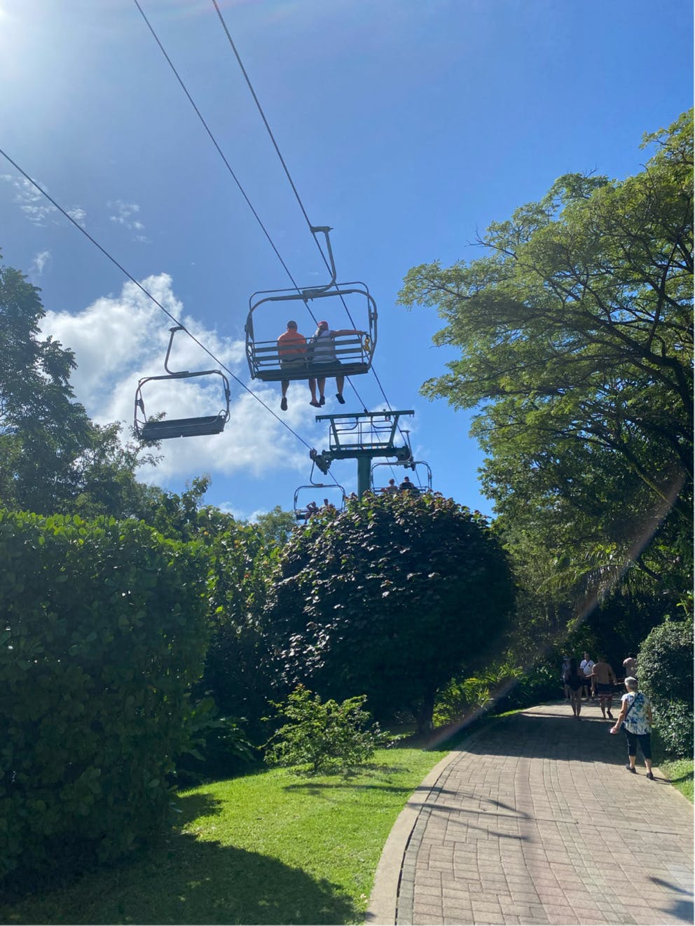 Carnival Venezia Cruise Review by Auntjax - December 14, 2025