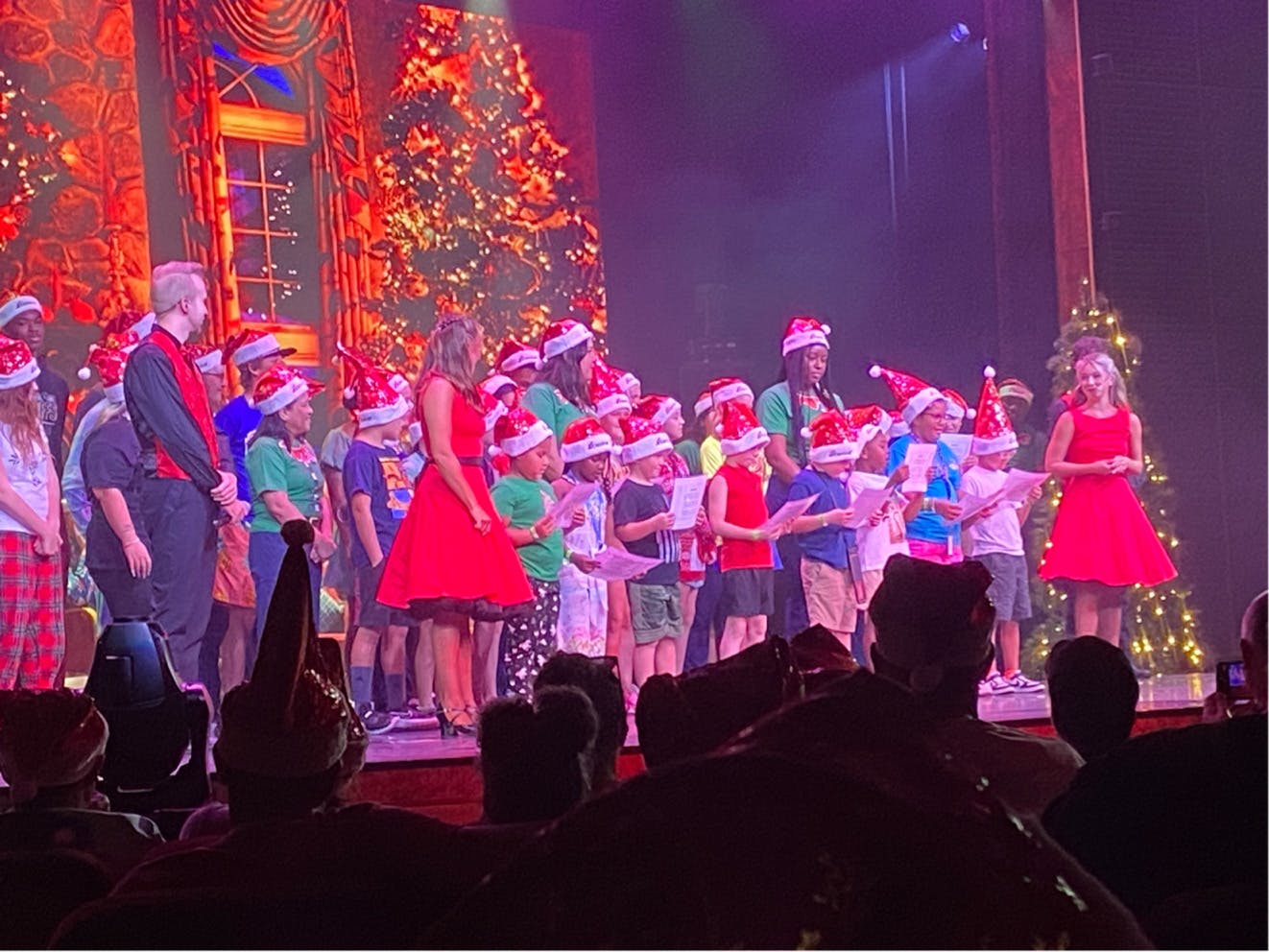 Carnival Venezia Cruise Review by Auntjax - December 14, 2025