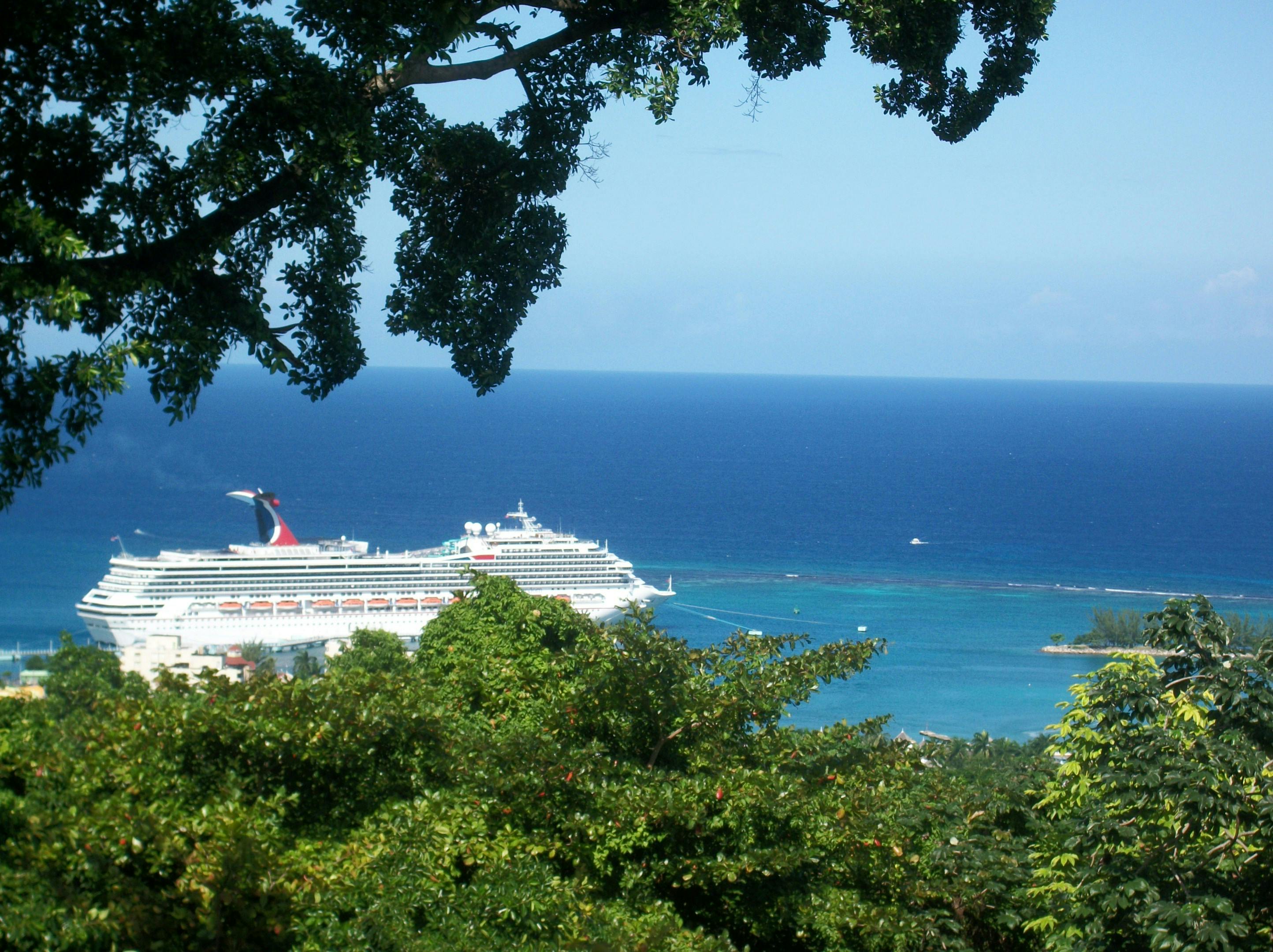 Carnival Freedom Cruise Review by WeCruiseToo - January 08, 2012