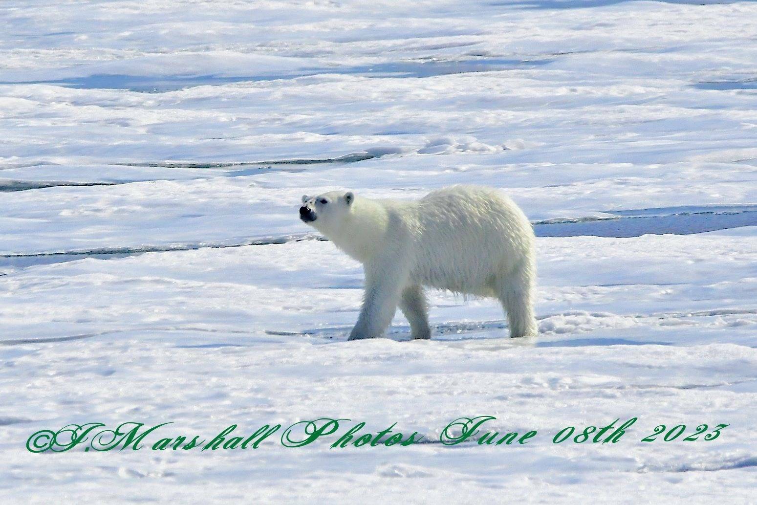 Bolette Reviews, Ship Details & Photos - Cruiseline.com